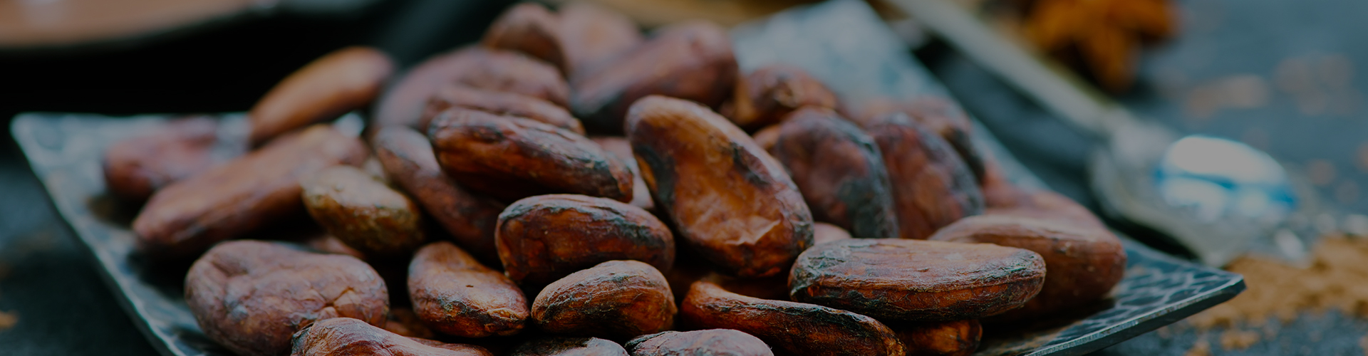 Cocoa Butter Processing Plant Cocoa Powder Manufacturing Process