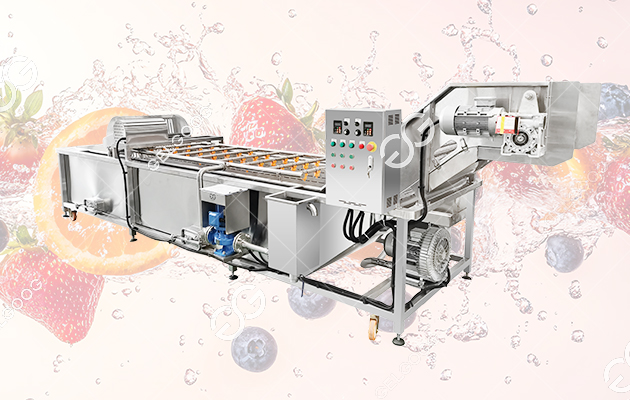 Bubble Fruit Washing Machine Industrial